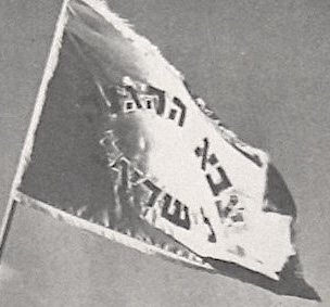 Israel Defense Forces